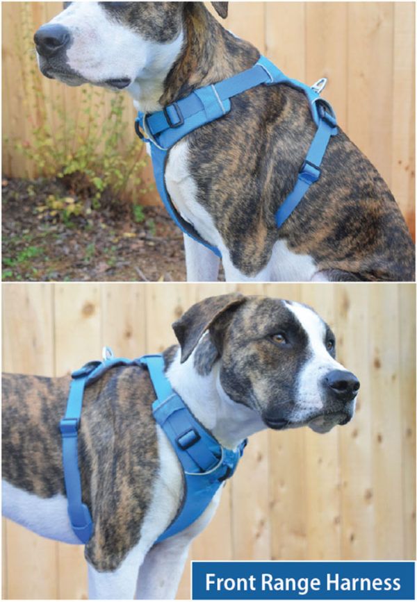The Best Front Clip Dog Harnesses - Whole Dog Journal