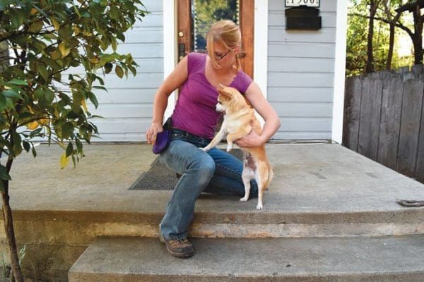 Lifting Your Dog - Whole Dog Journal