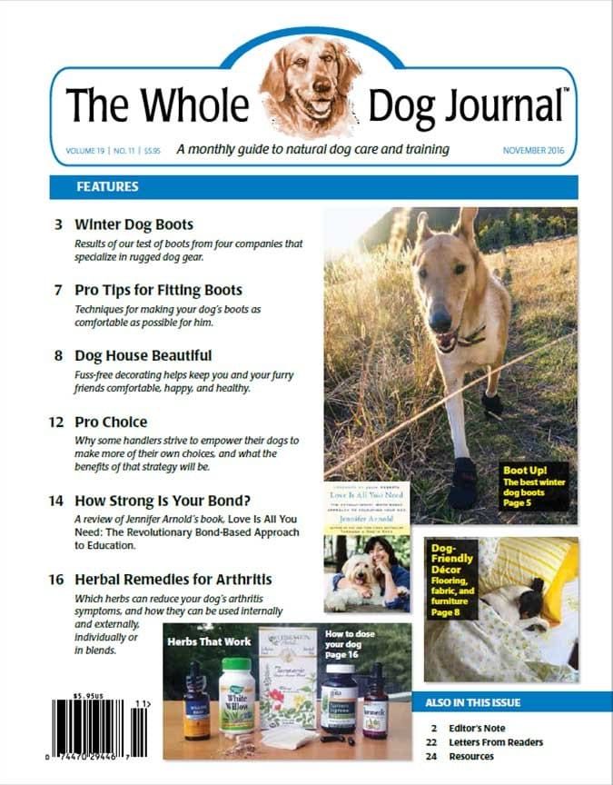Download the Full November 2016 Issue PDF - Whole Dog Journal