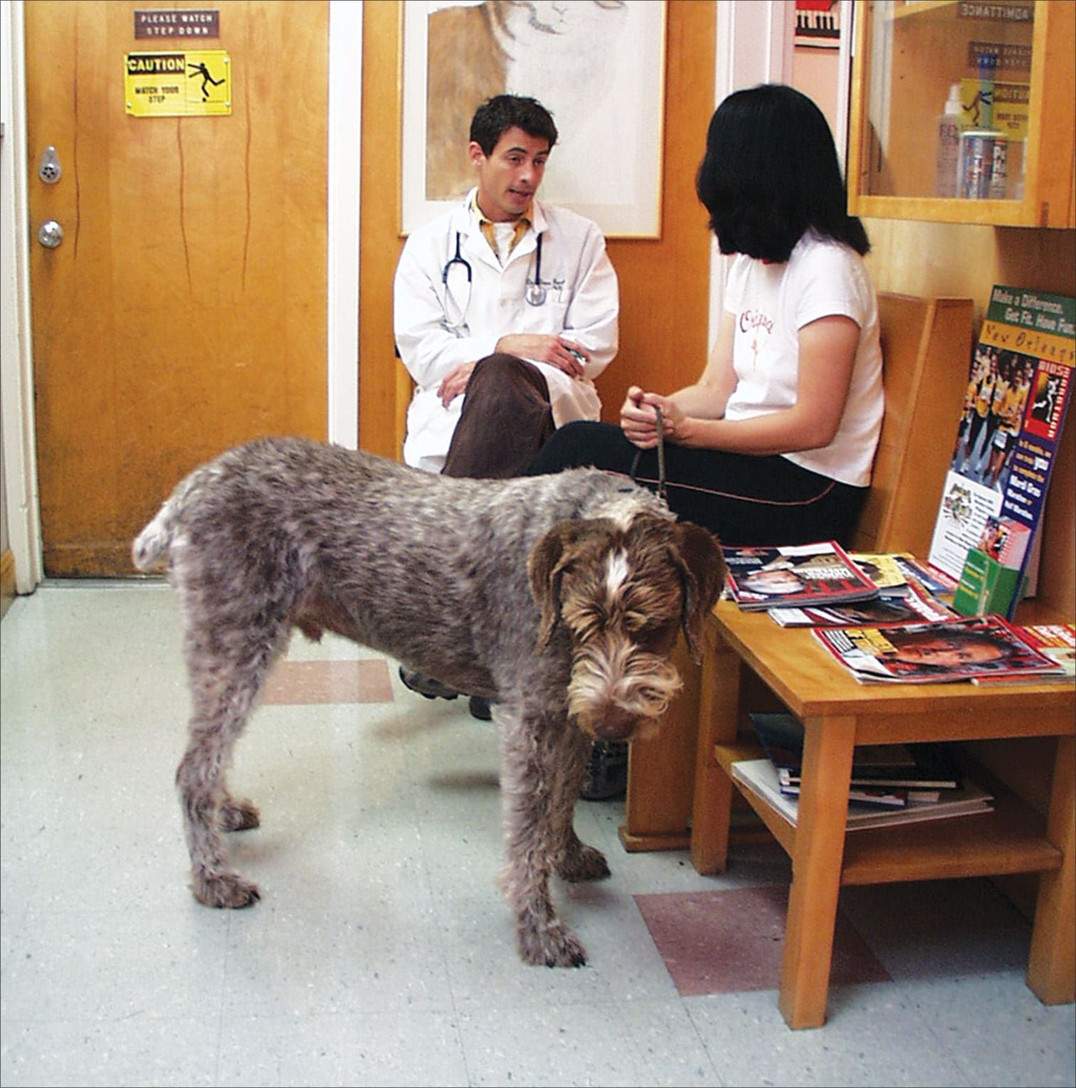 When to See a Vet and When to See a Trainer - Whole Dog Journal
