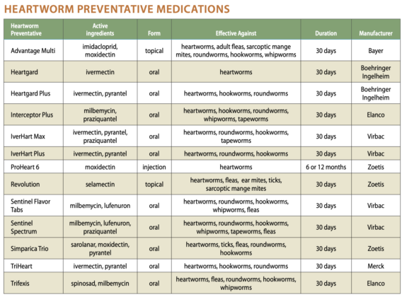 Matters of the Heartworm - Whole Dog Journal