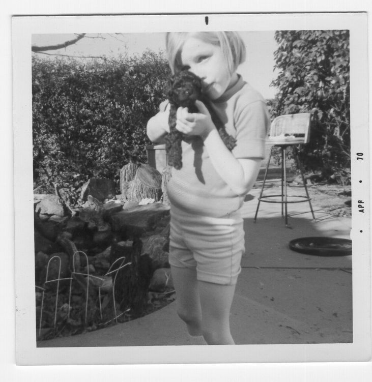 How Canine Possession Has Modified Shop4dogs.com.au - For all your dog ...