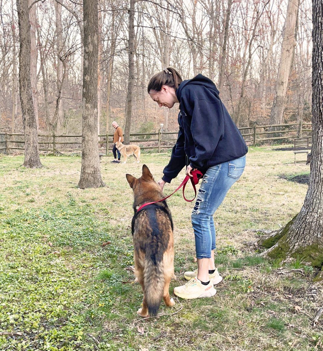 How to Socialize a Dog-Reactive Dog - Whole Dog Journal