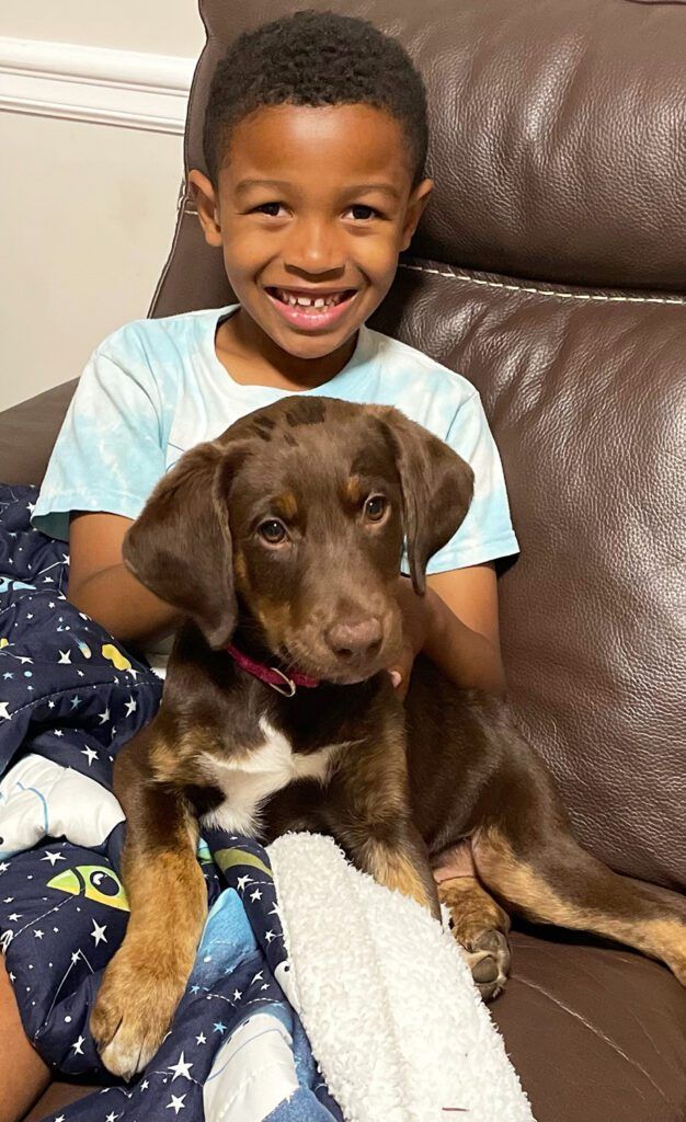 Puppies & Kids: How to Set Up for Success - Whole Dog Journal